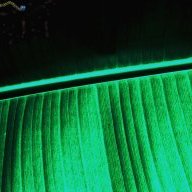 BM Alternative Gibt es Alternativen zum b-Moll Akkord? | Musiker-Board